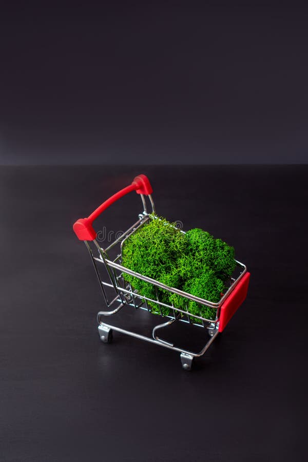 Natural Green Moss in Food Basket Stock Photo - Image of holiday, moss ...