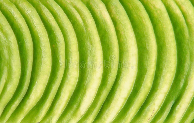 Natural Green texture stock image. Image of natural, closeup - 9115667