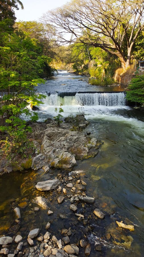 Natural Greenery Stream stock image. Image of small - 172672383
