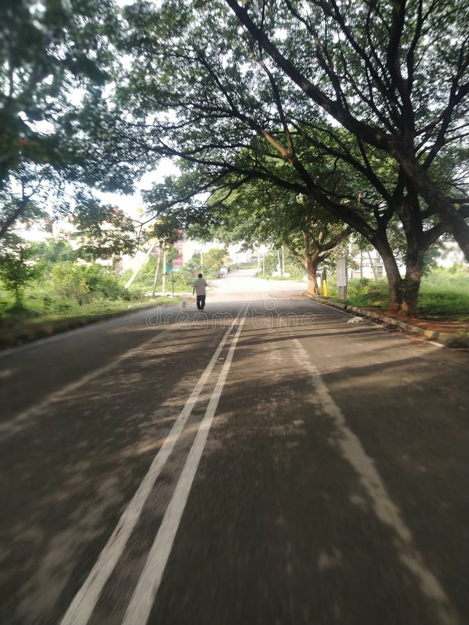 Natural Greenery Tree and Road Stock Image - Image of tree, natural ...