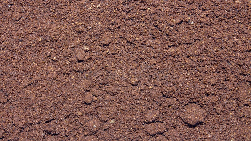 Natural Ground Coffee.Coffee Custard is Finely Ground.the Texture of ...