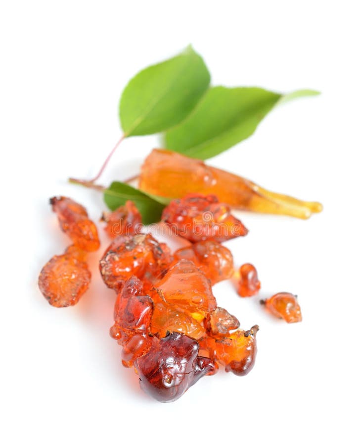 Natural Gum of Apricot Tree. Stock Image - Image of spice, chewing ...