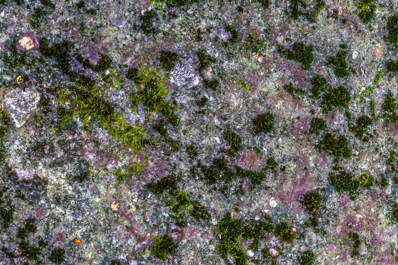 Natural Hard Rock or Stone Texture Surface As Background Stock Photo ...