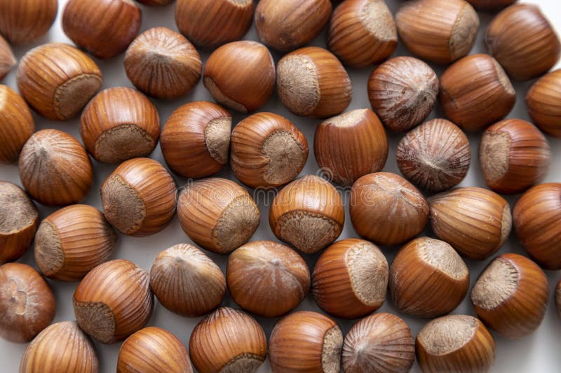 Natural Hazelnuts on White Surface - Close Macro Photo Stock Photo ...