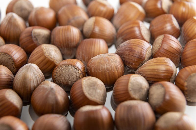 Natural Hazelnuts on White Surface - Close Macro Photo Stock Photo ...
