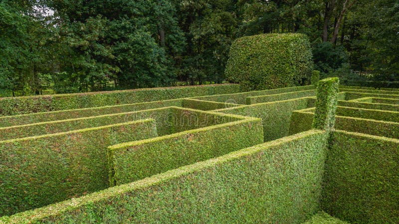 Natural Hedge Labyrinth Maze Stock Image - Image of bush, botany: 83281827