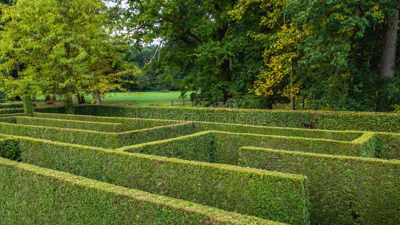 Natural Hedge Labyrinth Maze Stock Image - Image of gardening, castle ...