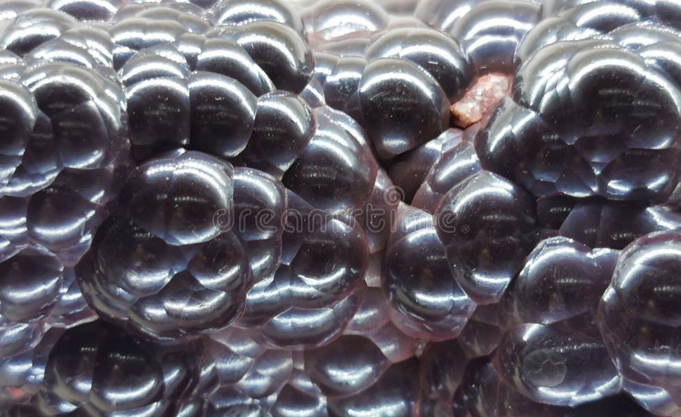 Natural Hematite Mineral Texture Stock Image - Image of macro ...