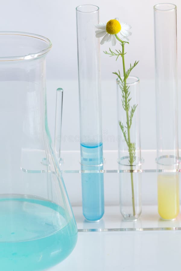 Natural Herbal Healthy Cosmetics in the Lab Stock Photo - Image of ...