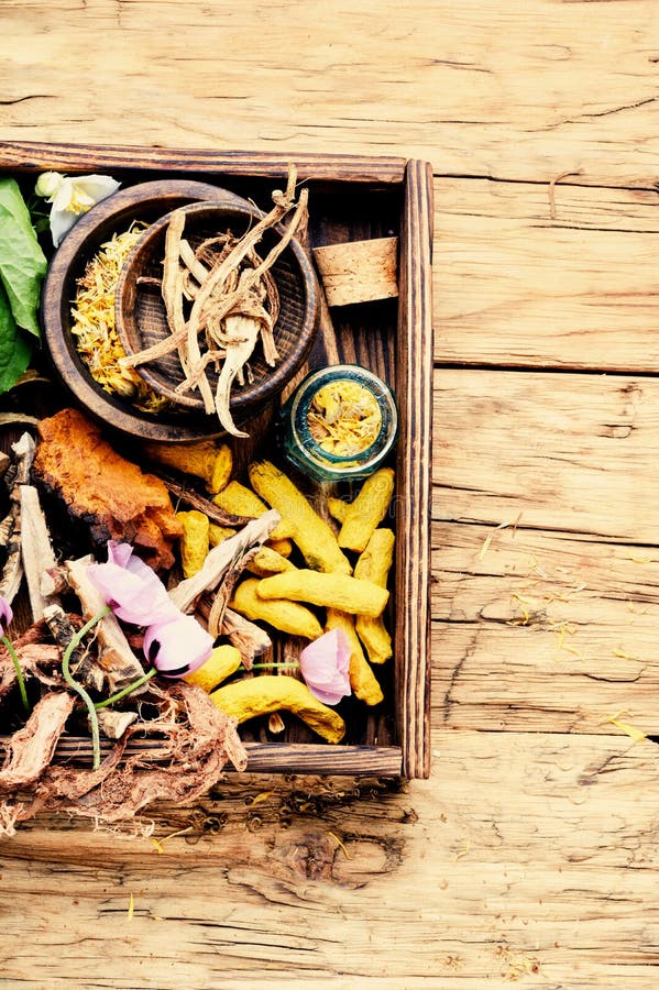 Natural herbs medicine stock photo. Image of leaf, fluid - 119691926