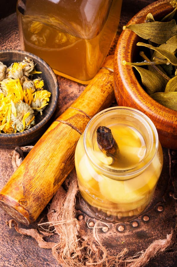 Natural herbs medicine stock image. Image of cure, leaf - 114951601