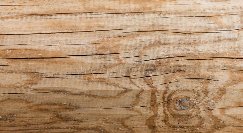 Natural Hewn Pine Log Pattern, Close Up , Background Texture Stock ...