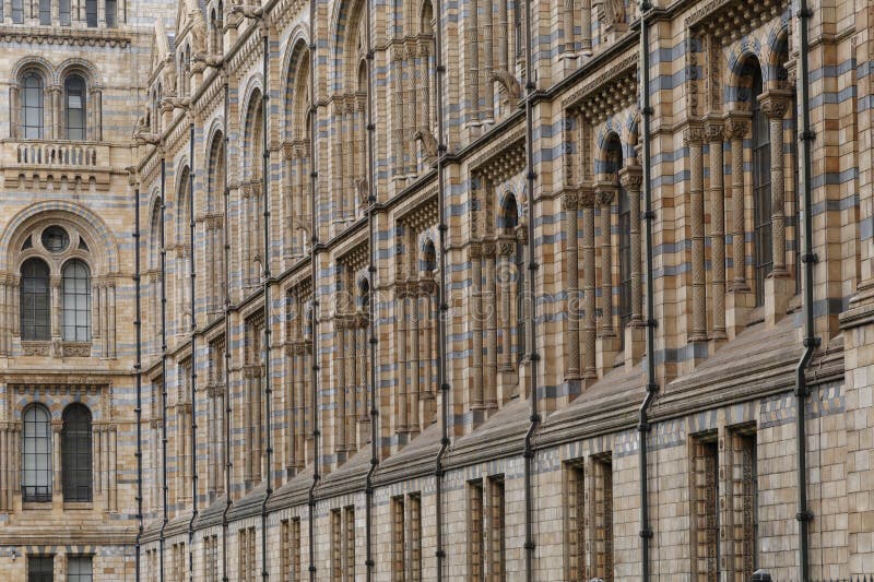 Natural history museum stock photo. Image of architecture - 41650674