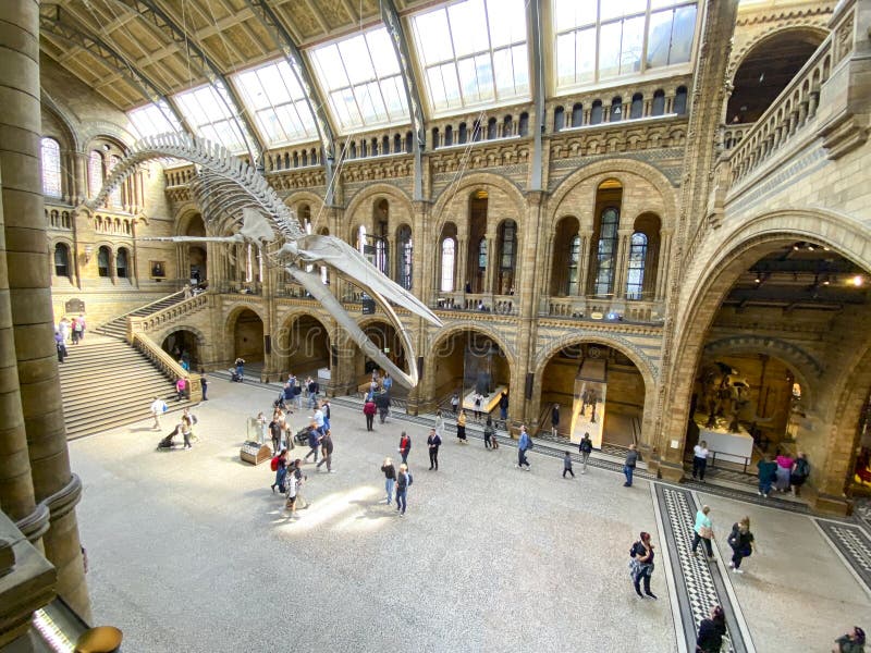 Natural History Museum of London, UK Editorial Stock Photo - Image of ...