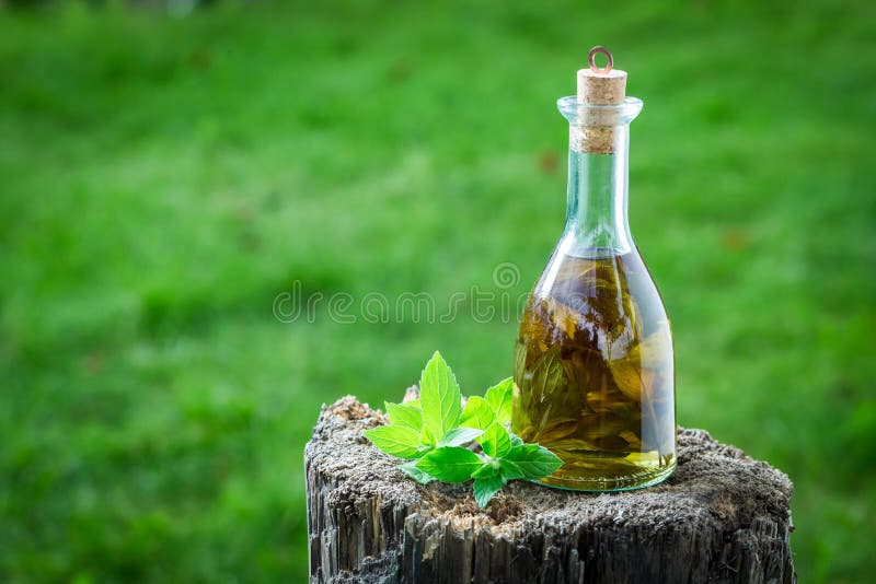 Natural and Homemade Liqueur Made of Mint and Alcohol Stock Photo ...
