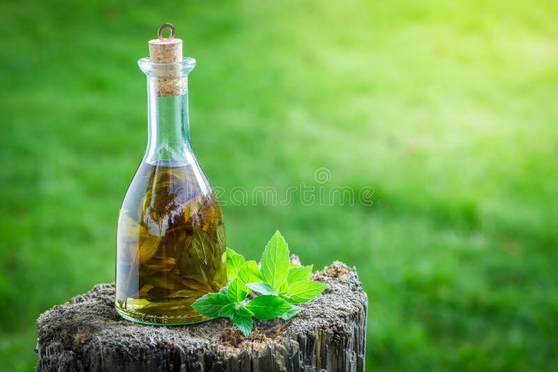 Natural and Homemade Liqueur with Mint and Alcohol Stock Photo - Image ...