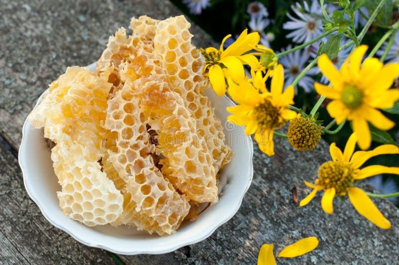 Natural honey in comb stock photo. Image of natural, frame - 26489782