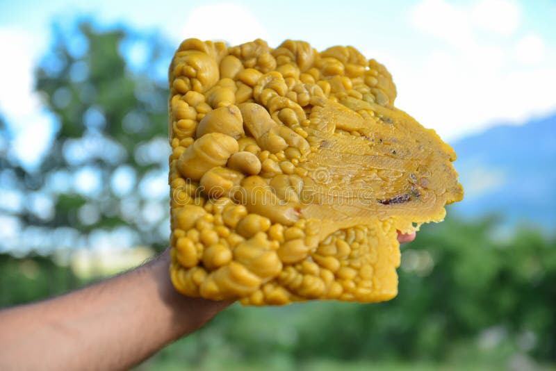 Unity Winged Globe Stock Photos - Free & Royalty-Free Stock Photos from ...