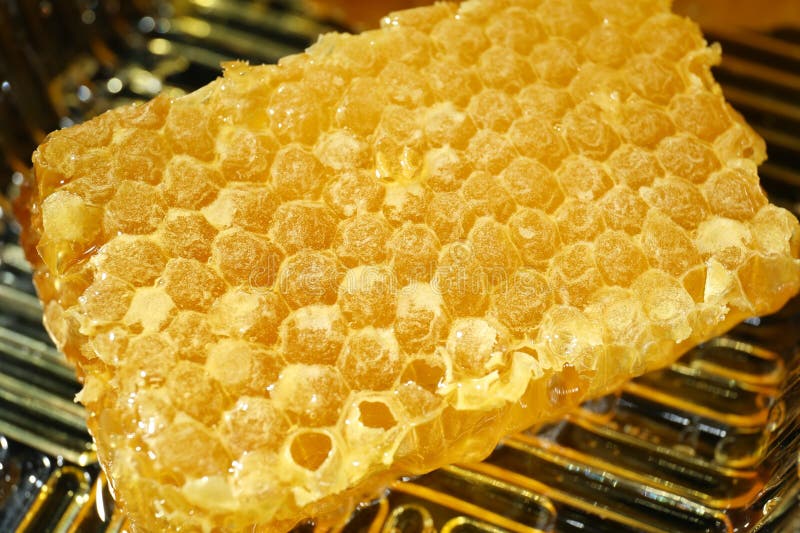 Natural Honeycomb with Tasty Honey in Plastic Container, Closeup Stock ...