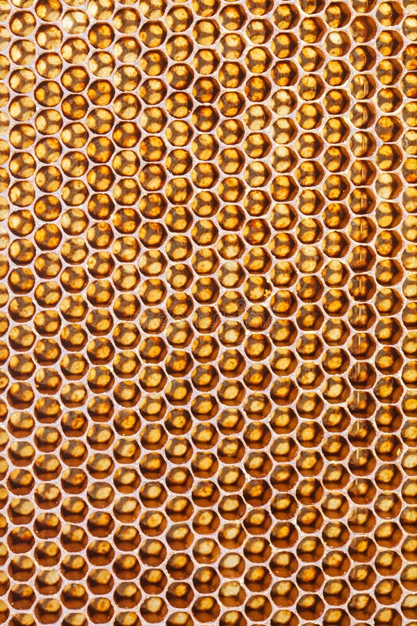 Natural Honeycomb texture stock photo. Image of food - 108424976
