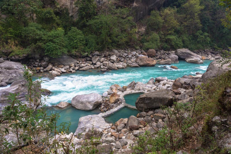 Spring in the Himalayas stock image. Image of flower - 148895319