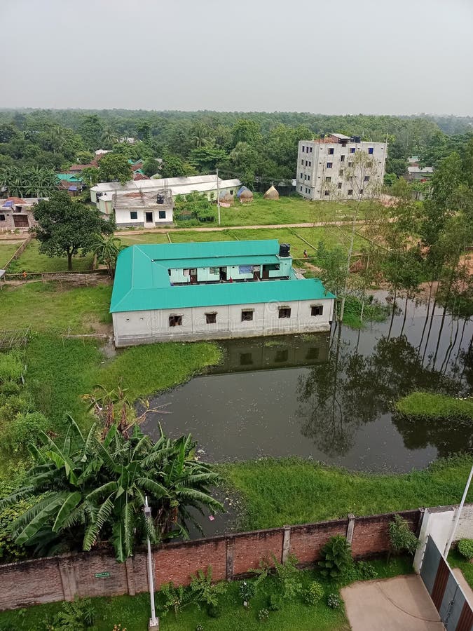 Natural house water forest stock image. Image of water - 239531391