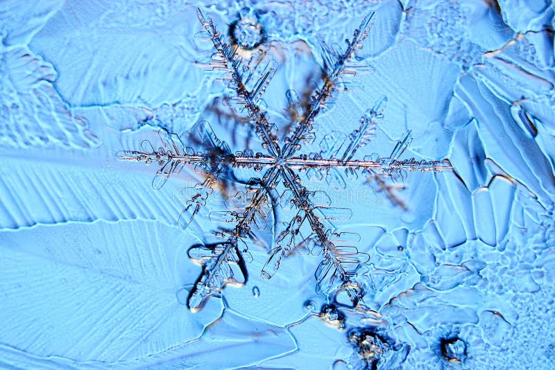 Natural Ice Crystal Snowflake Stock Photo - Image of cool, christmas ...