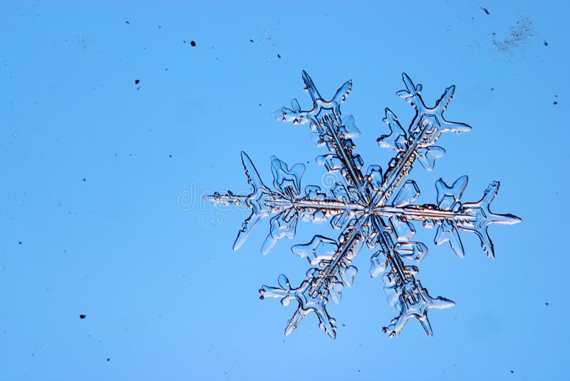 Natural Ice Crystal Snowflake Stock Photo - Image of decorative, light ...