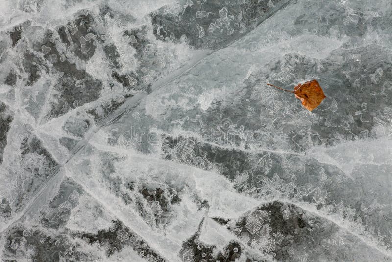 Natural Ice Surface Texture with Fall Leaf Stock Photo - Image of ...