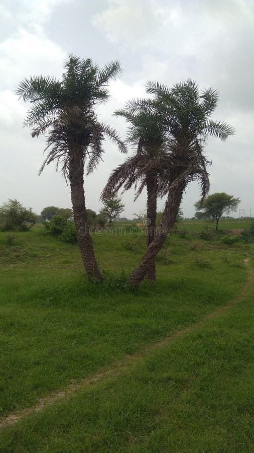 Beautiful stock photo. Image of cool, natural, beautiful - 122987358