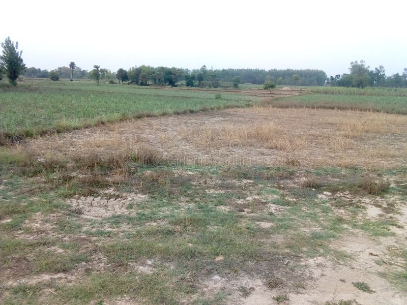 Natural Images with Green Tree Stock Photo - Image of creative, flate ...