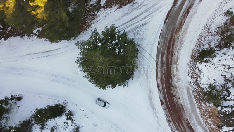 Natural Intersection stock video. Video of drive, forest - 239658643