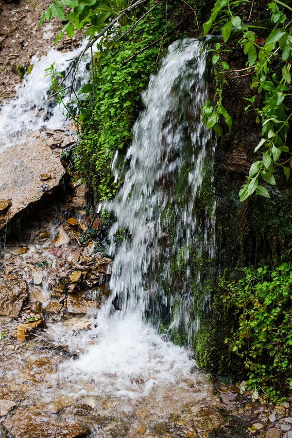 Natural Key with Water in the Forest Stock Image - Image of resort ...