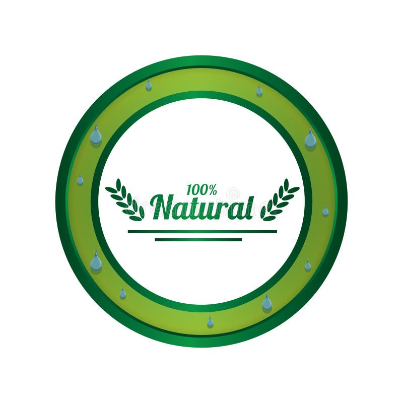 Natural Label. Vector Illustration Decorative Background Design Stock ...