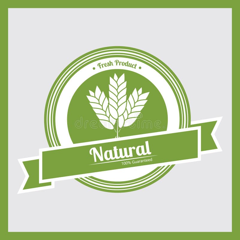 Natural Label. Vector Illustration Decorative Design Stock Vector ...