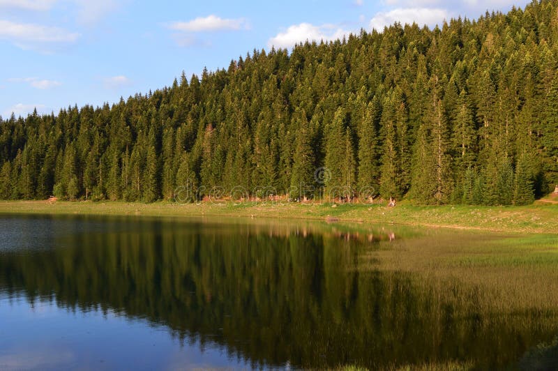 Natural Lake on the Mountain Stock Image - Image of meadow, wilderness ...
