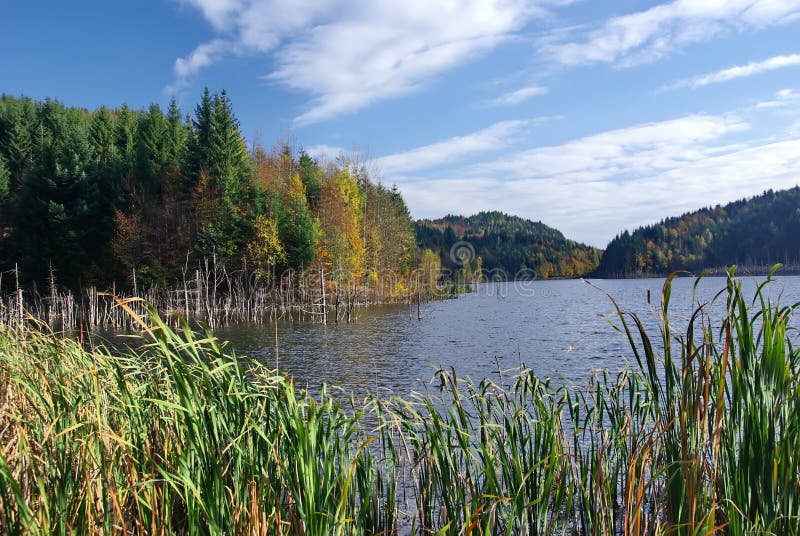 Natural Lake in the Mountains Stock Image - Image of autumnal, trees ...