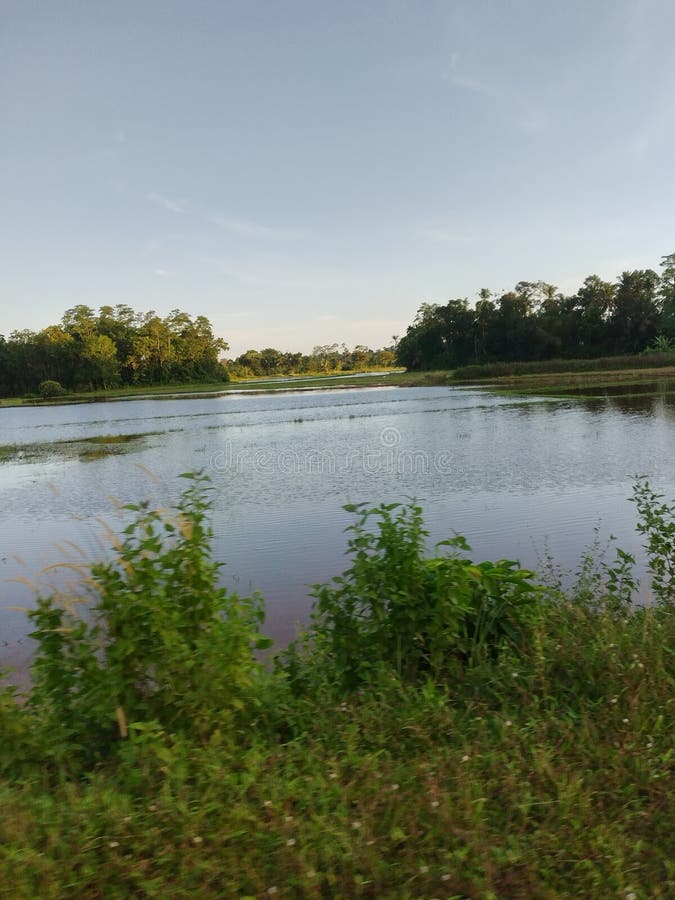 Natural lake in sri lanka stock image. Image of water - 251083273