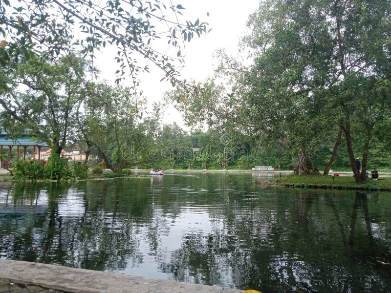 Natural Lake with Trees and Fresh Air Stock Image - Image of stream ...