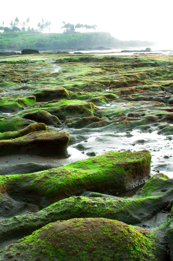 Natural Landscape stock photo. Image of abstract, nature - 18397506