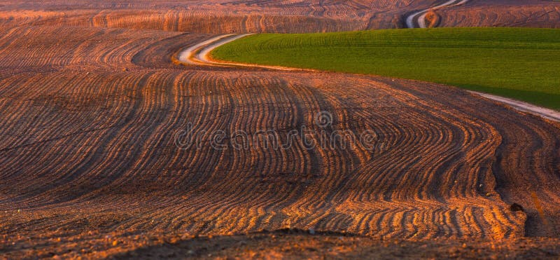 Natural Landscape of Agricultural Fields at Beginning of Spring Stock ...