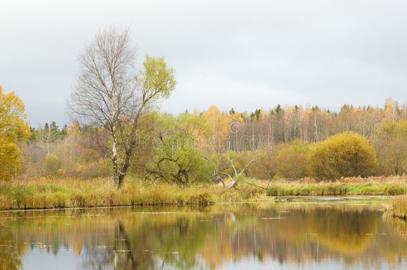 The Natural Landscape in Autumn. Stock Photo - Image of autumn, color ...