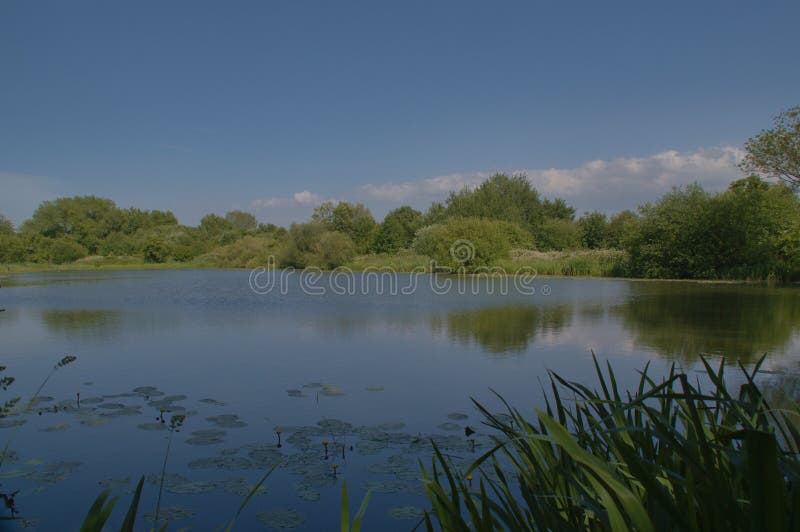 Natural Landscape Background with the Lake and Tree Reflection View ...