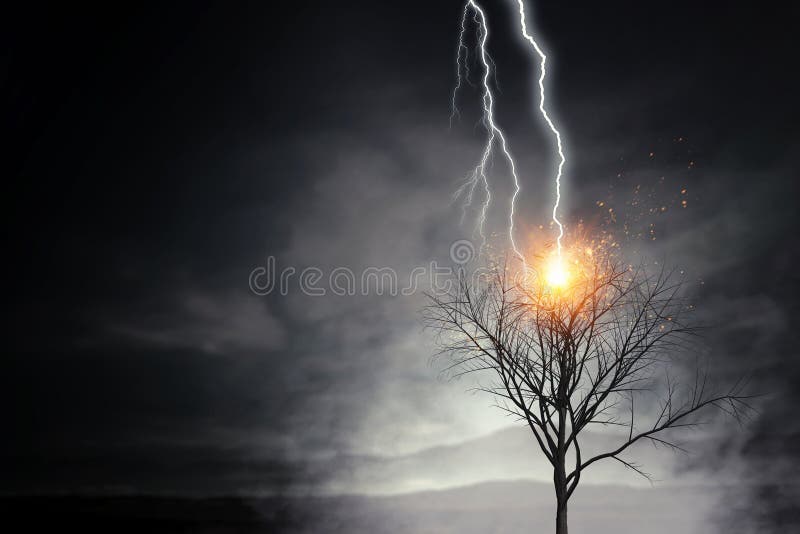 611 Lightning Striking Tree Stock Photos - Free & Royalty-Free Stock ...