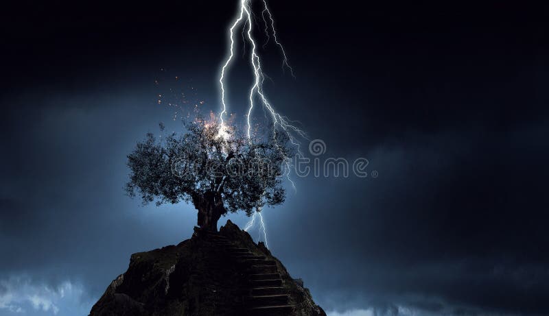 Bright Lightning Hit the Tree Stock Image - Image of high, nature ...