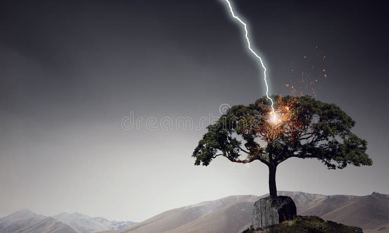 8,814 Lightning Tree Stock Photos - Free & Royalty-Free Stock Photos ...