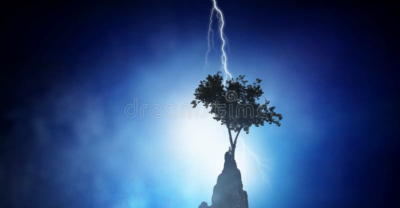 Bright Lightning Hit the Tree Stock Photo - Image of storm, strikes ...