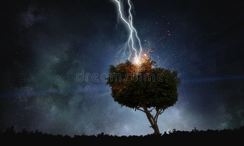 Bright Lightning Hit the Tree Stock Image - Image of field, electricity ...