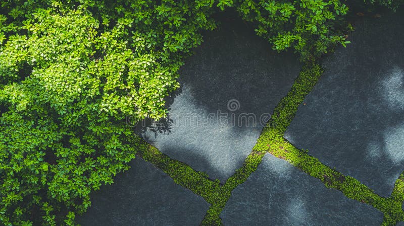 Natural Landscape with Dark Lime Green Moss on Textured Grey Stone ...