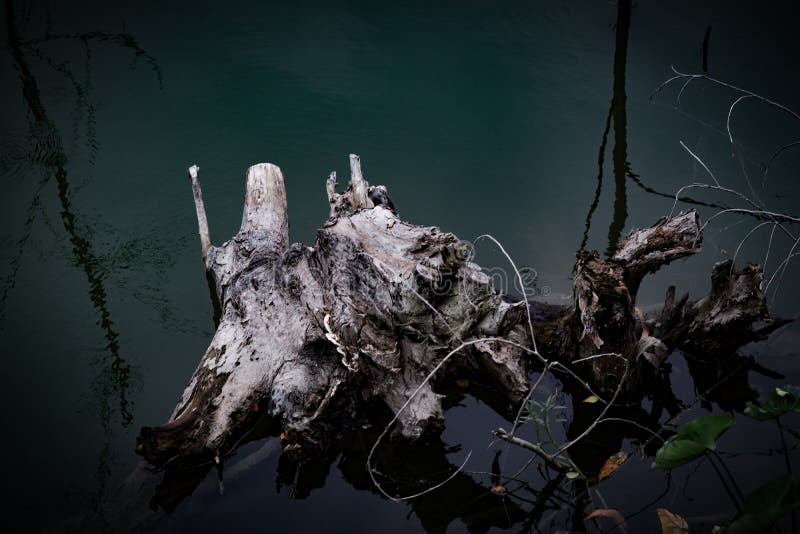 Natural Landscape stock image. Image of tree, pond, landscape - 130514777